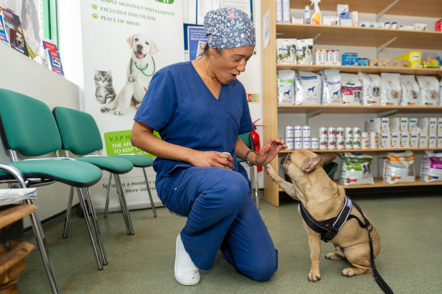 Wimbledon Veterinary Surgery Book Online - Wimbledon Veterinary Surgery